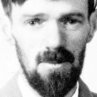 Pluck Definition, Meaning & Usage | FineDictionary.com