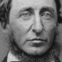 Feast Definition, Meaning & Usage | FineDictionary.com