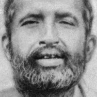 Dislodge Definition, Meaning & Usage | FineDictionary.com