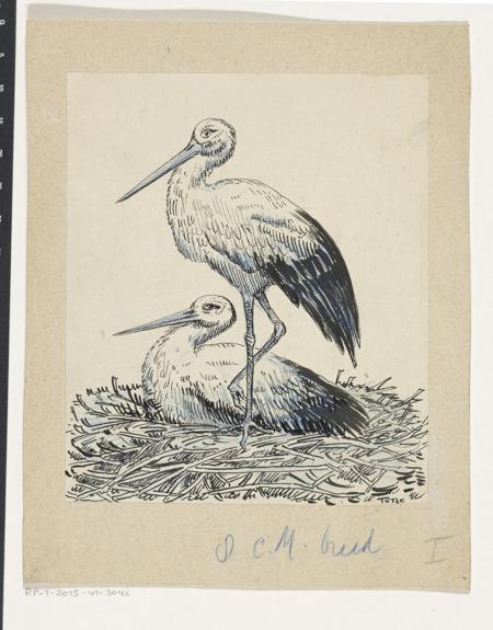 Brood Definition, Meaning & Usage | FineDictionary.com