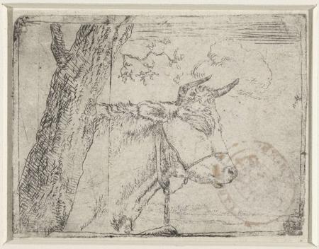 Halter Definition, Meaning & Usage | FineDictionary.com