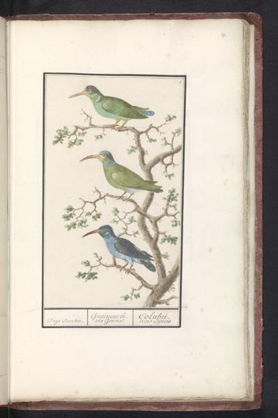 Extractor Definition, Meaning & Usage | FineDictionary.com