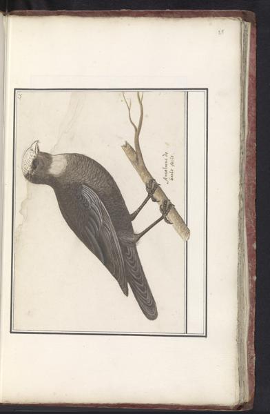 Marsh Definition, Meaning & Usage | FineDictionary.com