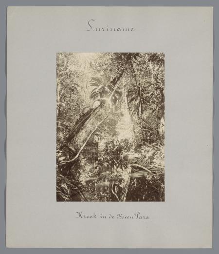 Para Definition, Meaning & Usage | FineDictionary.com