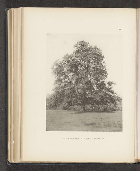 Lancaster Definition, Meaning & Usage | FineDictionary.com