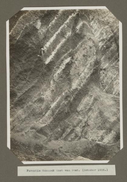 Fossilization Definition, Meaning & Usage | FineDictionary.com