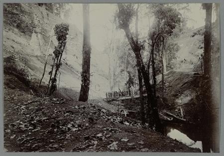 Hillside Definition, Meaning & Usage | FineDictionary.com