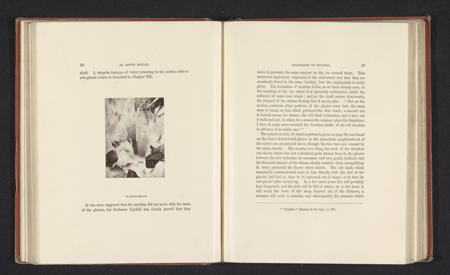 Milled Definition, Meaning & Usage | FineDictionary.com