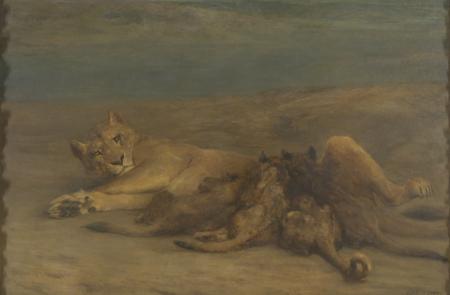 Maternalism Definition, Meaning & Usage | FineDictionary.com