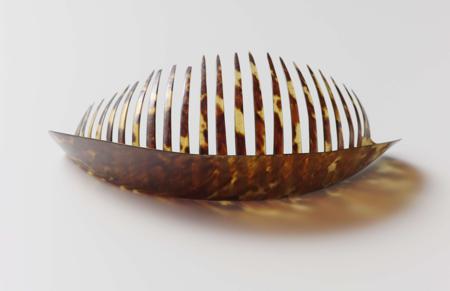 Tortoiseshell Definition, Meaning & Usage | FineDictionary.com