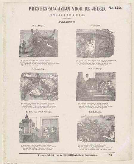 Canary Definition, Meaning & Usage | FineDictionary.com