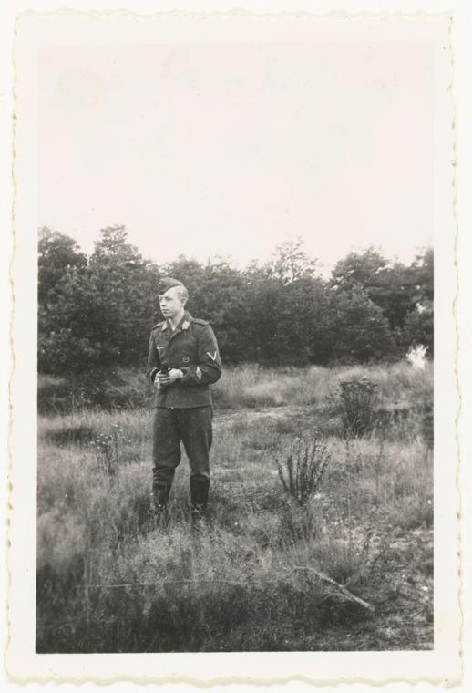 Bushy Definition, Meaning & Usage | FineDictionary.com