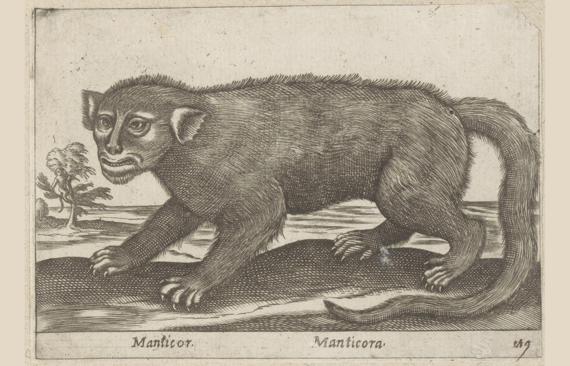 Manticore Definition, Meaning & Usage | FineDictionary.com