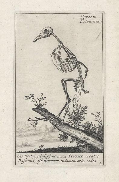 Branch line Definition, Meaning & Usage | FineDictionary.com