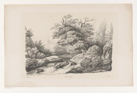 Rapidity Definition, Meaning & Usage | FineDictionary.com