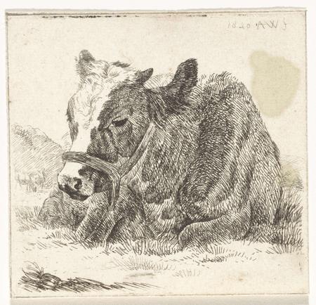 Halter Definition, Meaning & Usage | FineDictionary.com