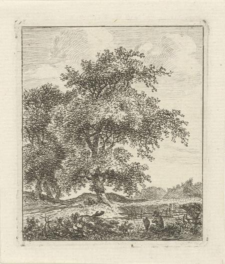 Thatch tree Definition, Meaning & Usage | FineDictionary.com