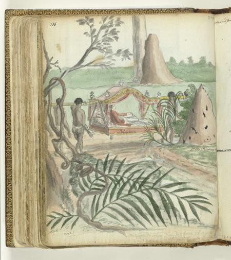 Palanquin Definition, Meaning & Usage | FineDictionary.com