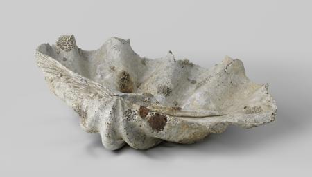 Clam Definition, Meaning & Usage | FineDictionary.com