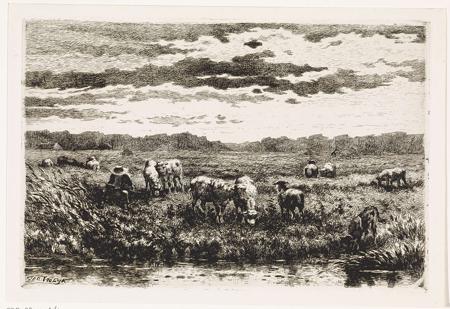 Brim Definition, Meaning & Usage | FineDictionary.com