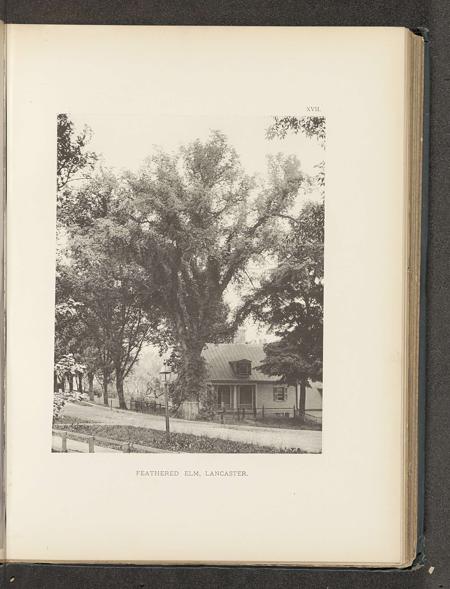 Lancaster Definition, Meaning & Usage | FineDictionary.com