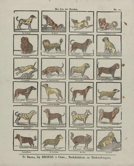 Breed Definition, Meaning & Usage | FineDictionary.com