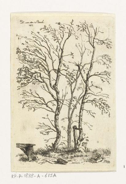 Birch Definition, Meaning & Usage | FineDictionary.com