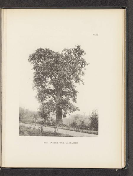 Lancaster Definition, Meaning & Usage | FineDictionary.com