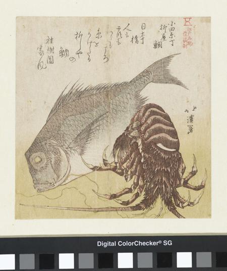 Crayfish Definition, Meaning & Usage | FineDictionary.com