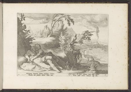 Corvus Definition, Meaning & Usage | FineDictionary.com