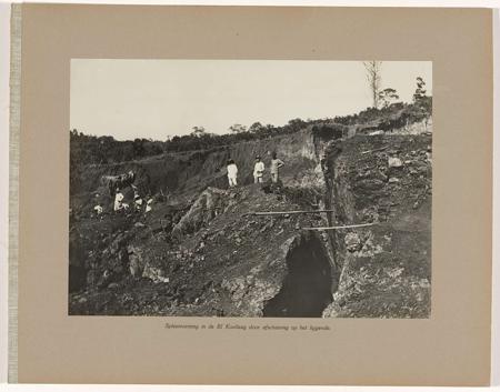 Pitted Definition, Meaning & Usage | FineDictionary.com