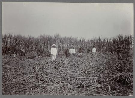 Overseer Definition, Meaning & Usage | FineDictionary.com