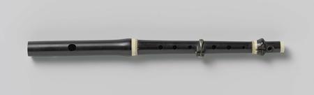 Piccolo Definition, Meaning & Usage | FineDictionary.com