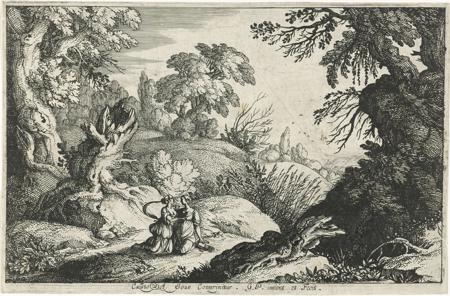 Wood nymph Definition, Meaning & Usage | FineDictionary.com