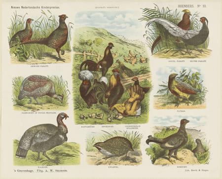 Fowl Definition, Meaning & Usage | FineDictionary.com