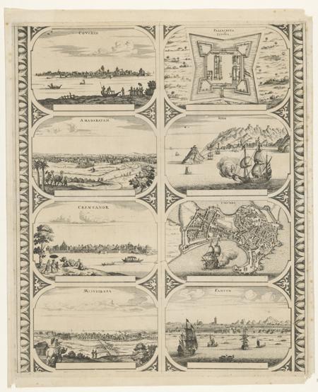 Cochineal Definition, Meaning & Usage | FineDictionary.com