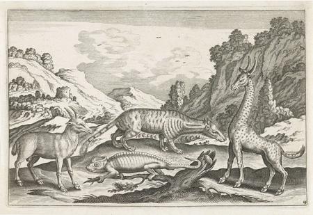 Antelope Definition, Meaning & Usage | FineDictionary.com