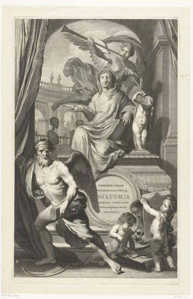 Anatomy Definition, Meaning & Usage | FineDictionary.com