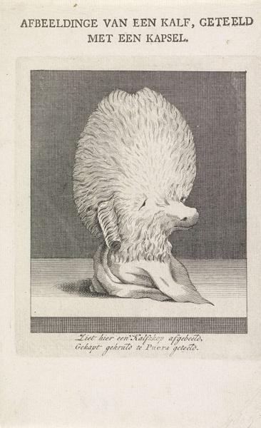 Resemble Definition, Meaning & Usage | FineDictionary.com