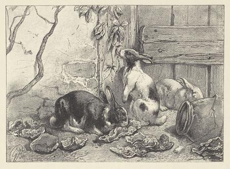 Nibble Definition, Meaning & Usage | FineDictionary.com