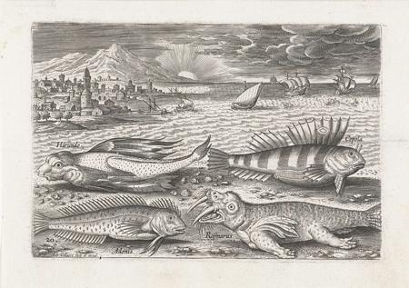 Commoner Definition, Meaning & Usage | FineDictionary.com