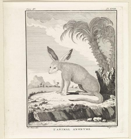 Snout Definition, Meaning & Usage | FineDictionary.com