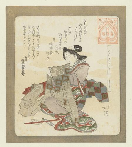 Plover Definition, Meaning & Usage | FineDictionary.com