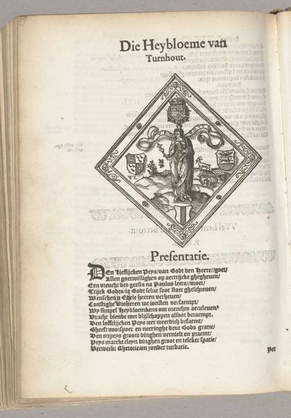 Blazon Definition, Meaning & Usage | FineDictionary.com