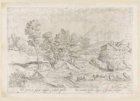 Rapidity Definition, Meaning & Usage | FineDictionary.com