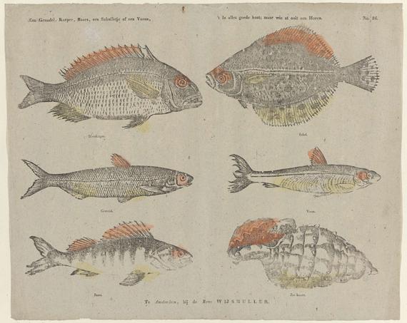 Furrow Definition, Meaning & Usage | FineDictionary.com
