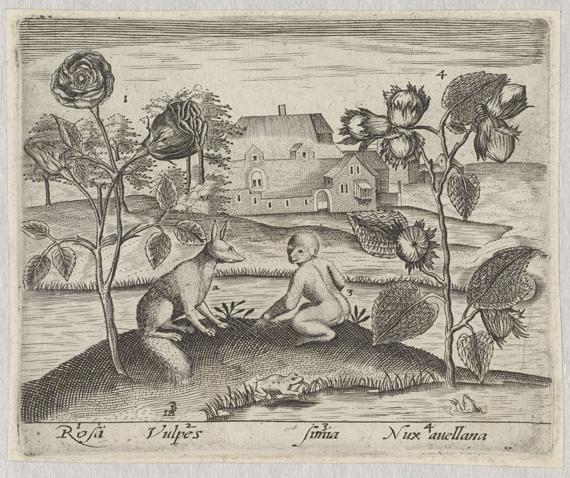 Simia Definition, Meaning & Usage | FineDictionary.com