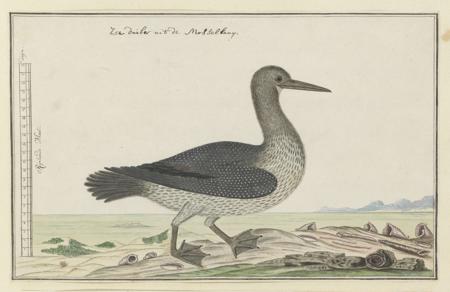 Identification Definition, Meaning & Usage | FineDictionary.com