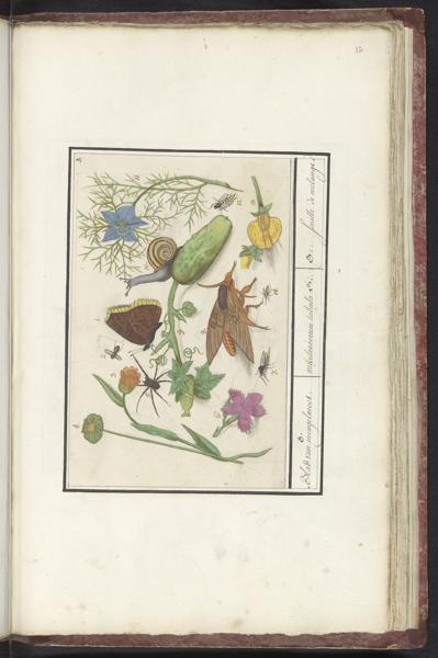 Natural history Definition, Meaning & Usage | FineDictionary.com