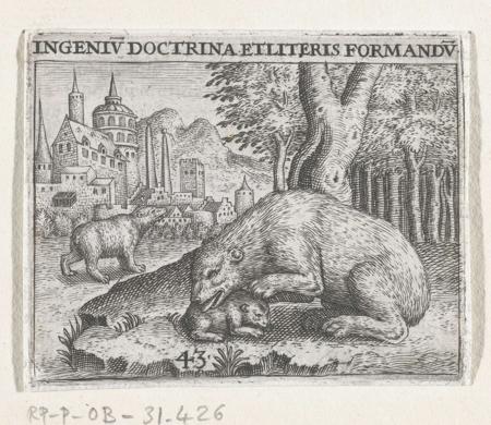 Bear cub Definition, Meaning & Usage | FineDictionary.com